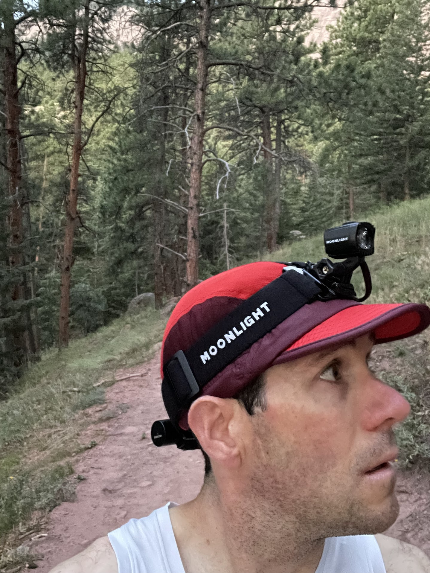 Bright as Day 800 Review